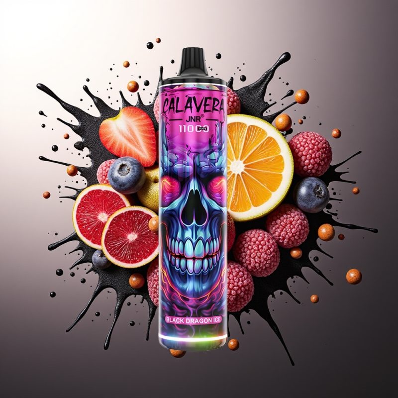 JNR Calavera 11000 Puffs Black Dragon Ice Disposable Vape with Type-C ...