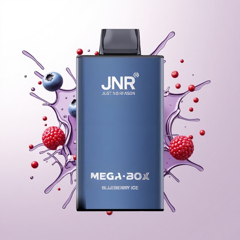 JNR Mega Box 25000 Puffs Blueberry Ice Dual Mesh E-Liquid 30ml Type-C ...