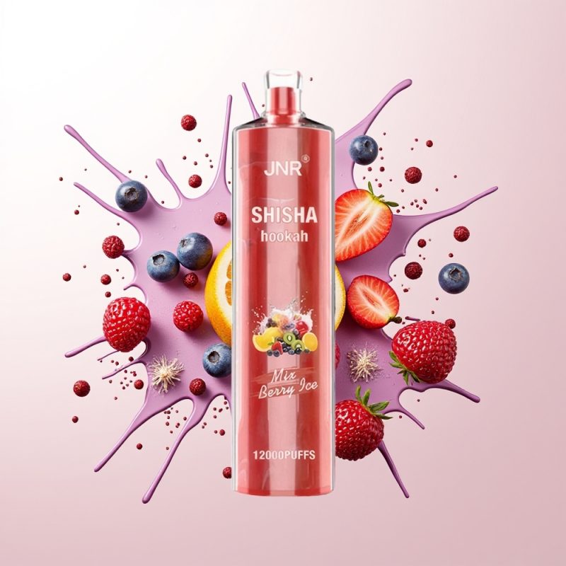 JNR Shisha Hookah 12000 Puffs Berry Ice Disposable Vape with 750mAh ...