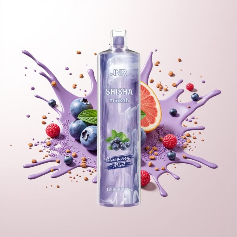 JNR Shisha Hookah 12000 Puffs Blueberry Mint Disposable Vape with ...